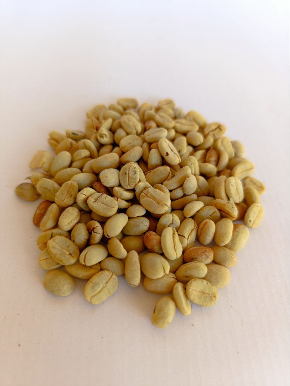 Semillas de Café Orgánicas - Agroecológica Pie de Sierra - Consumir de ...