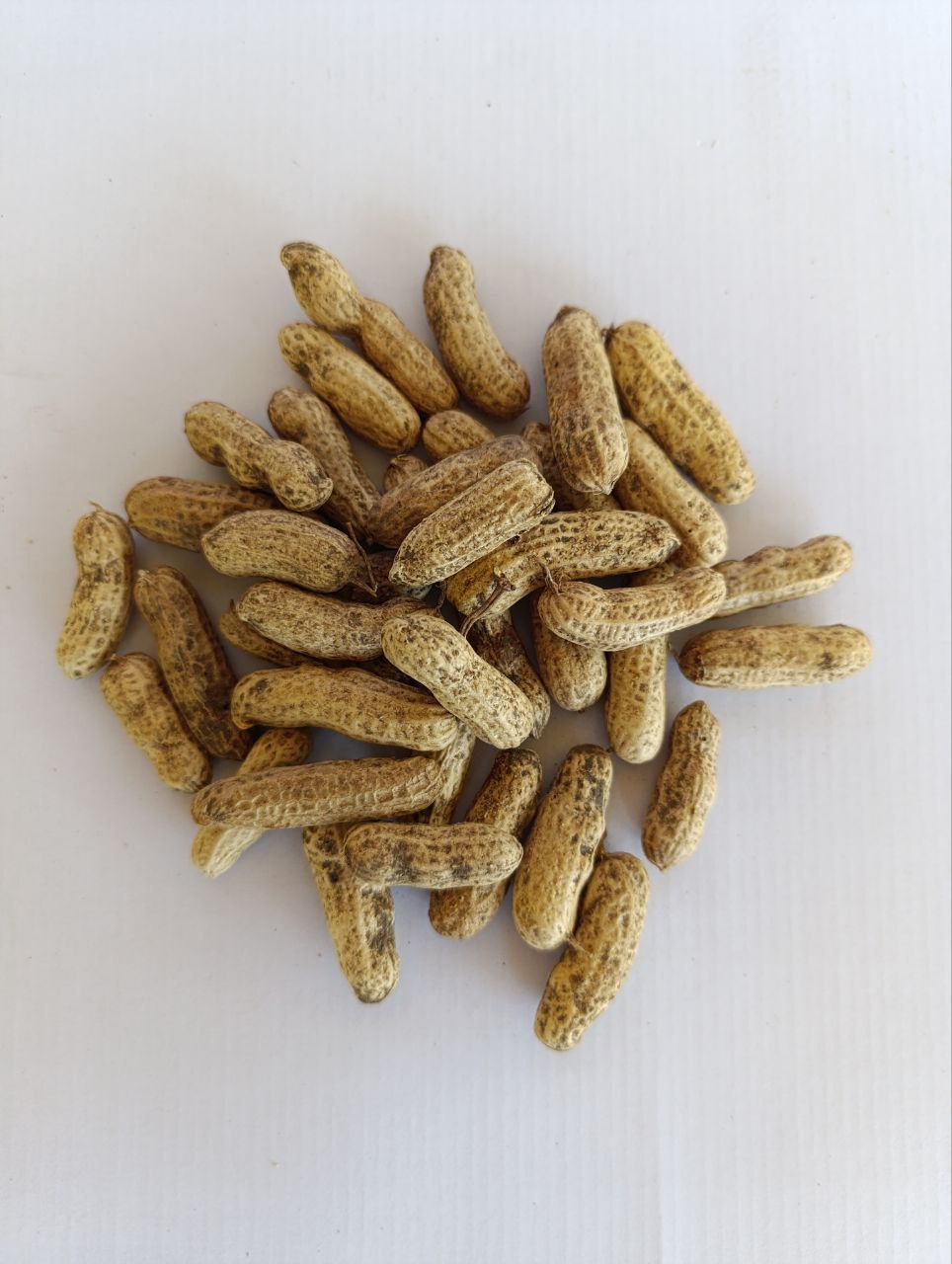 Semillas de Maní Orgánicas - Agroecológica Pie de Sierra - Consumir de ...